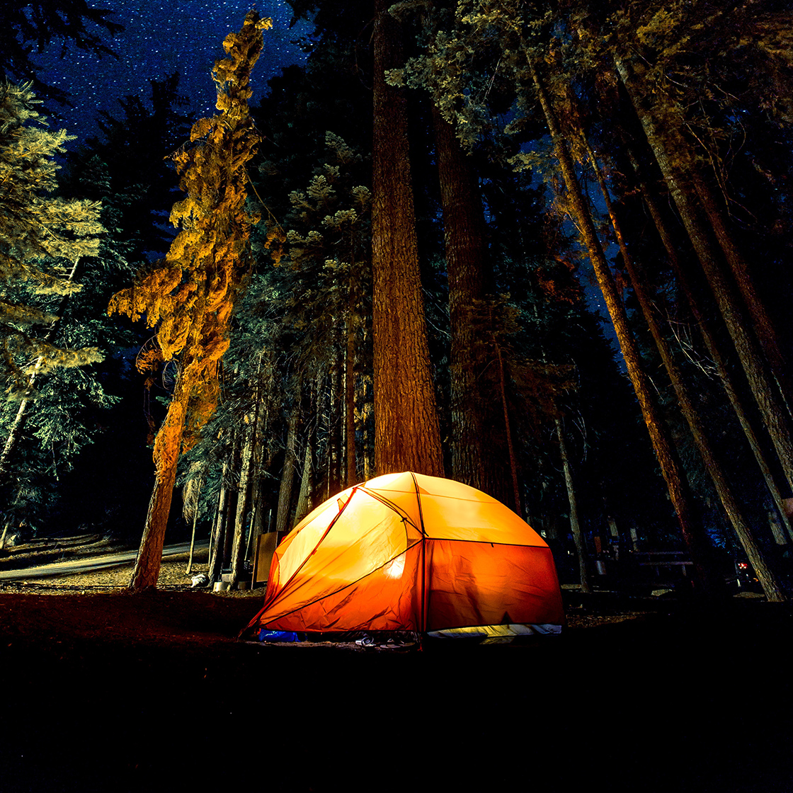 Camp Like A Champ American Lifestyle Magazine Issue 84 Volume 2 Camp Like A Champ American Lifestyle Magazine Issue 84 Volume 2